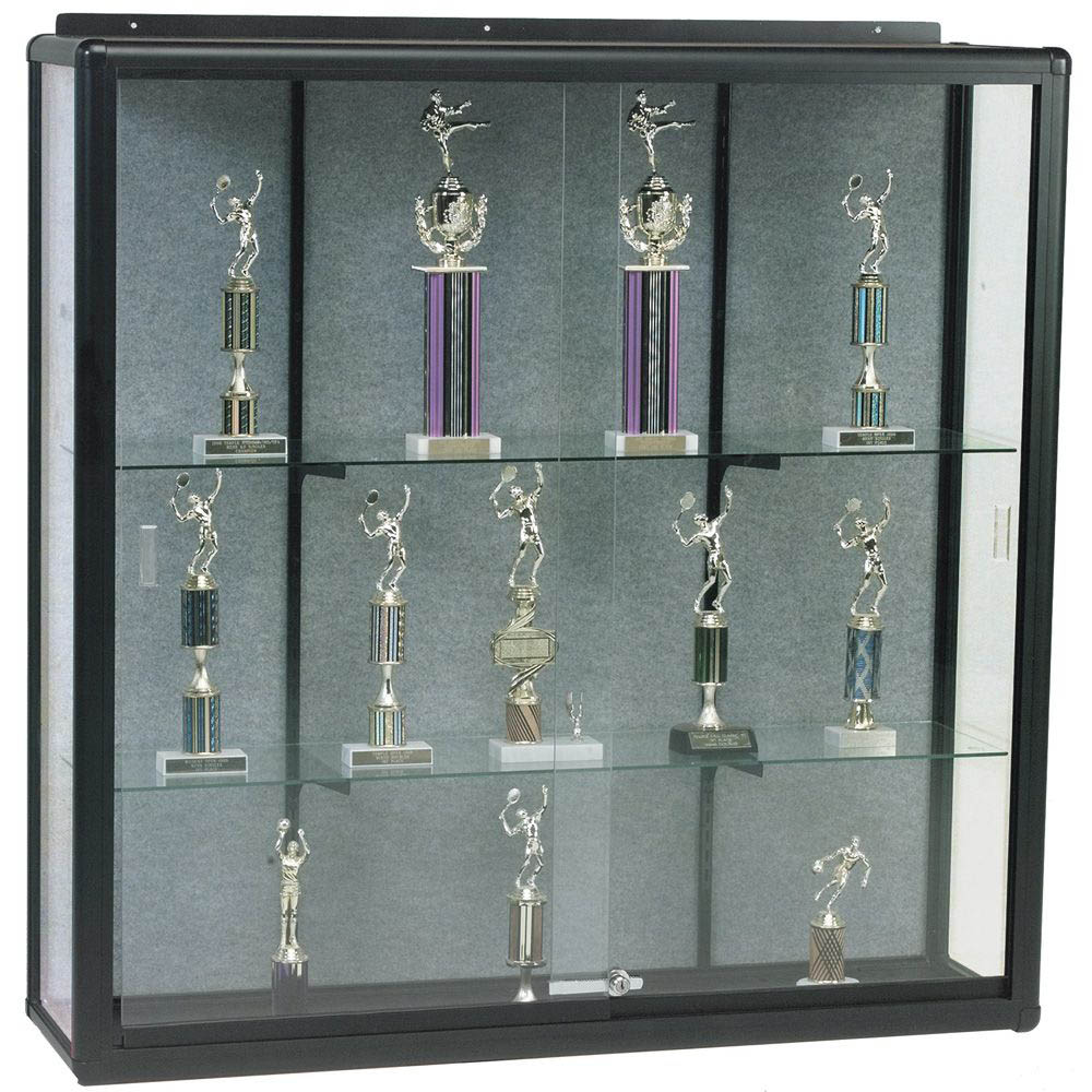 Best-Rite 90W83 Wall Mount Display Case – ProjectorScreen.com